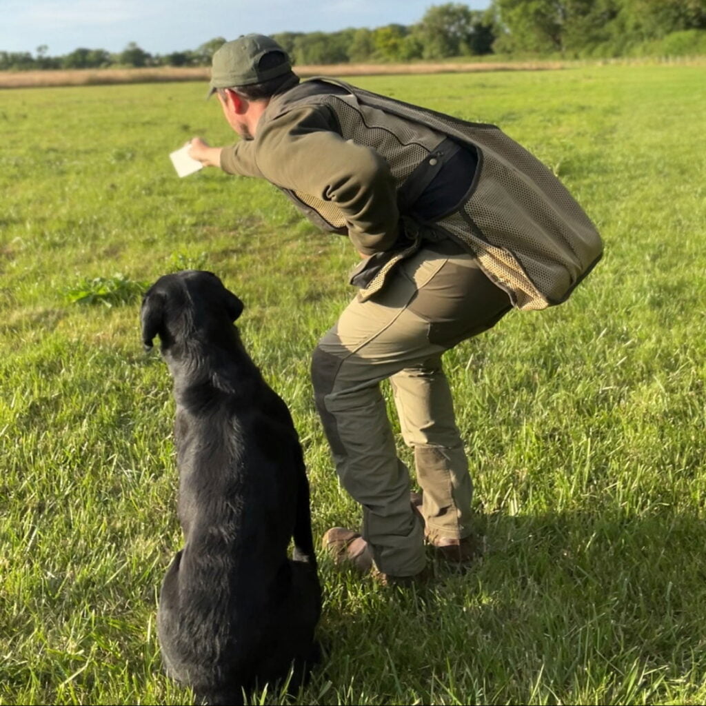 Handling Card - Dog and Field