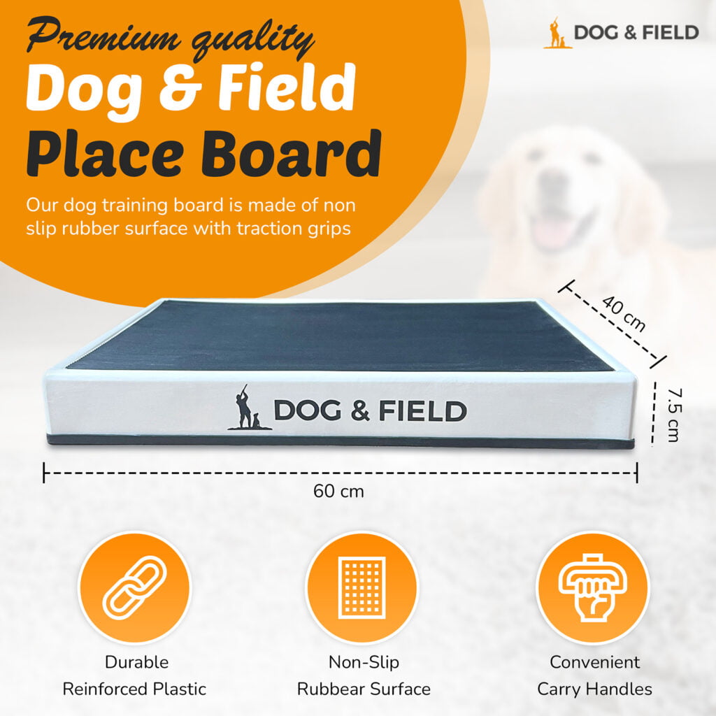 Dog Training Equipment, Accessories & Essentials | Dog & Field